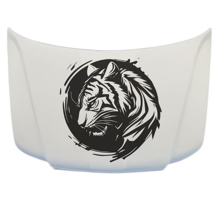 Stylish Car Bonnet Graphics for Car Upgrade | Motorik Detailing